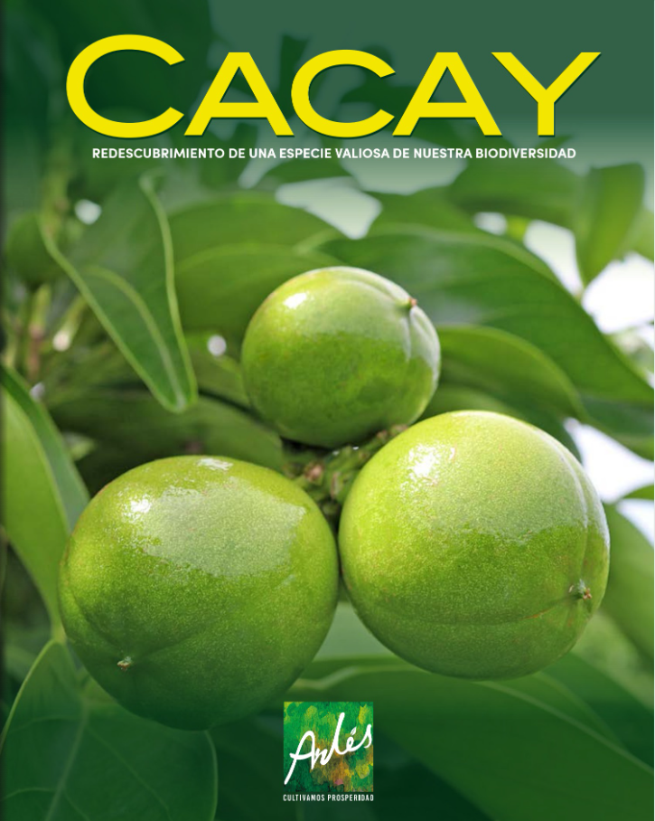El Cacay – Arlés Organics